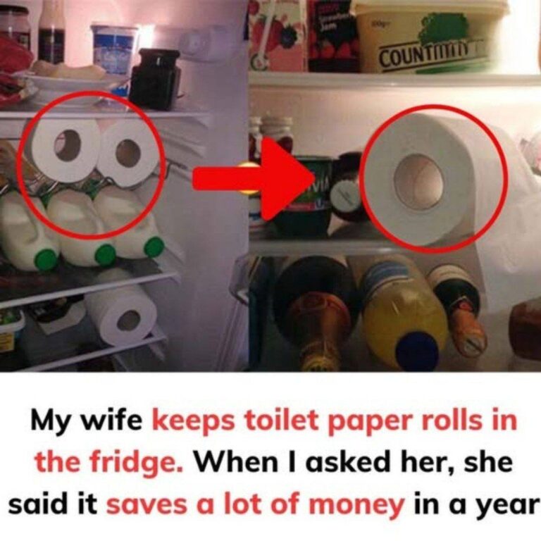 Why My Wife Keeps Toilet Paper Rolls in the Fridge – And How It Saves ...